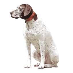 Pointer Resources Crunchbase Company Profile Funding