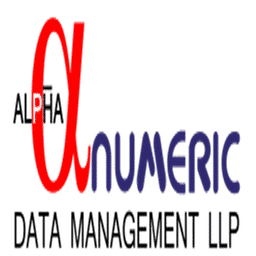 Alphanumeric Data Management - Crunchbase Company Profile & Funding