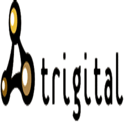 Trigital Infographic - Crunchbase Company Profile & Funding