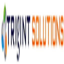 Trigint Solutions - Crunchbase Company Profile & Funding