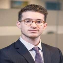 Mathieu Develay - Partner @ BlueGem Capital Partners - Crunchbase ...