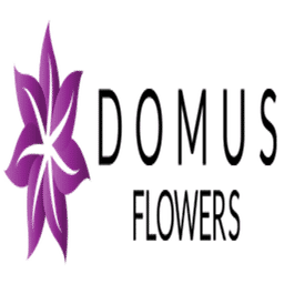 Domus Flower - Crunchbase Company Profile & Funding