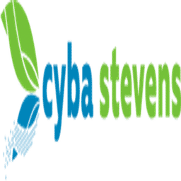 Cyba Stevens Management Group - Crunchbase Company Profile & Funding