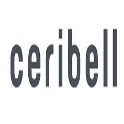 Ceribell - Crunchbase Company Profile & Funding