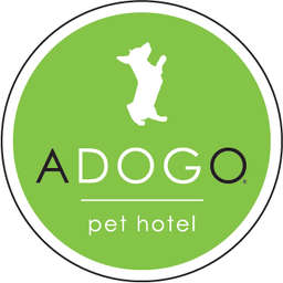 Adogo Pet Hotels - Crunchbase Company Profile & Funding