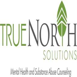 True North Solutions - Crunchbase Company Profile & Funding