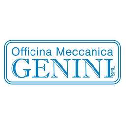 Genini