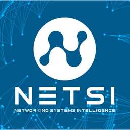 Netsi - Crunchbase Company Profile & Funding