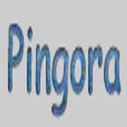 Pingora - Crunchbase Company Profile & Funding