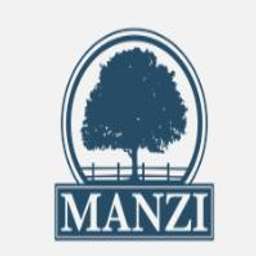 Manzi Insurance - Crunchbase Company Profile & Funding
