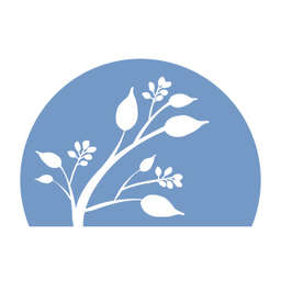 Boger Dental - Crunchbase Company Profile & Funding