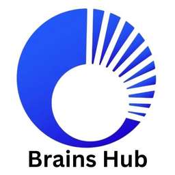 Brains Hub - Crunchbase Company Profile & Funding