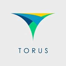 Torus Innovations - Crunchbase Company Profile & Funding