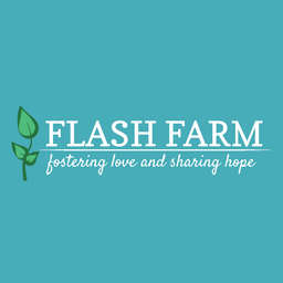 Flash Farm - Crunchbase Company Profile & Funding