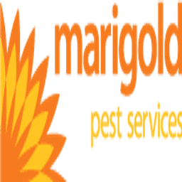 Marigold Pest Services - Crunchbase Company Profile & Funding