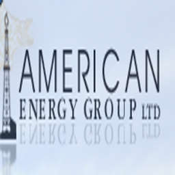 The American Energy Group