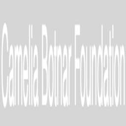 Camelia Botnar Foundation - Crunchbase Company Profile & Funding