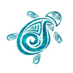 Blue Turtle Designs