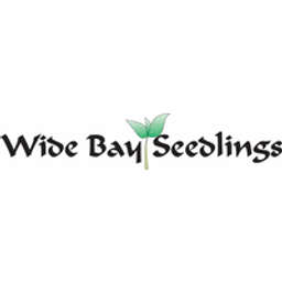 Wide Bay Seedlings - Crunchbase Company Profile & Funding