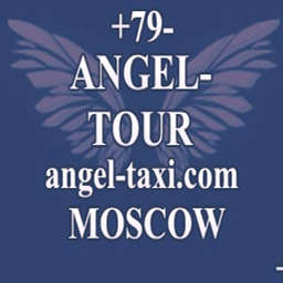 Angel-Taxi - Crunchbase Company Profile & Funding