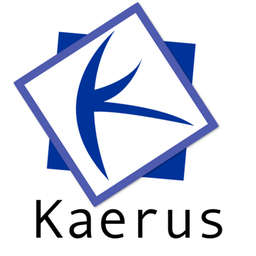 Kaerus Software - Crunchbase Company Profile & Funding