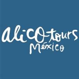 Alico Tours Mexico - Crunchbase Company Profile & Funding