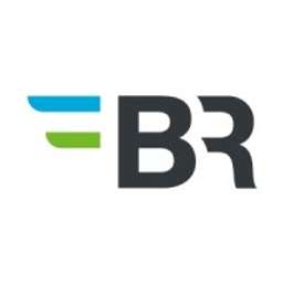 BR International Consulting Services