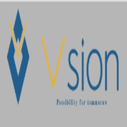 Vsion - Crunchbase Company Profile & Funding