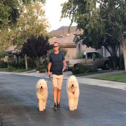 Simon Wilby - CEO @ The Smart Inventor - Crunchbase Person Profile