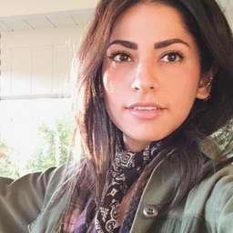 Azita Ardakani - Founder @ LoveSocial - Crunchbase Person Profile