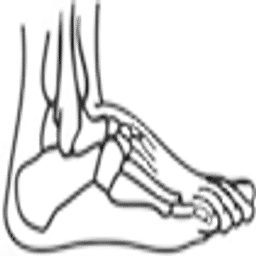 North Carolina Foot and Ankle Society - Crunchbase Company Profile ...