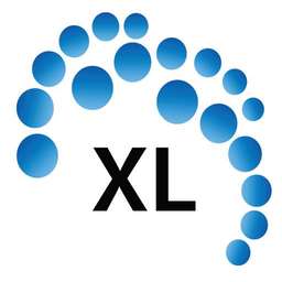 XL Consulting Group
