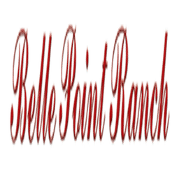 Belle Point Ranch - Crunchbase Company Profile & Funding