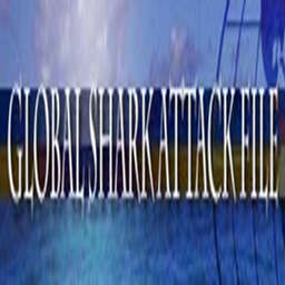 Global Shark Attack File - Crunchbase Company Profile & Funding