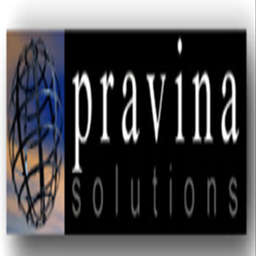 Pravina Solutions - Crunchbase Company Profile & Funding