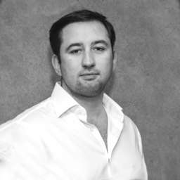Dimitri Roman - Group CEO @ Sintec US - Crunchbase Person Profile