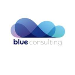 Blue Consulting - Crunchbase Company Profile & Funding