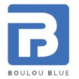 BOULOU LLC - Crunchbase Company Profile & Funding