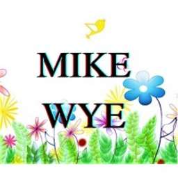 Mike Wye - Crunchbase Company Profile & Funding