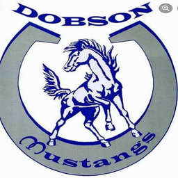 Dobson High School - Crunchbase School Profile & Alumni