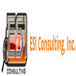Esi Consulting