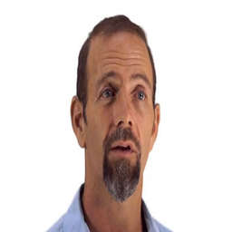 Daniel Aaron - Founder @ Radiantly Alive - Crunchbase Person Profile