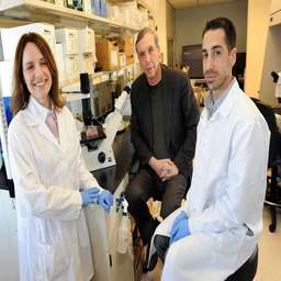 Christopher Fasano - Crunchbase Person Profile