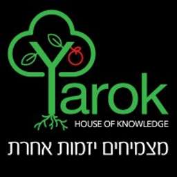 Yarok