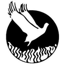 Phoenix Down Corporation