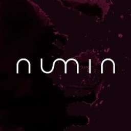 Numin - Crunchbase Company Profile & Funding