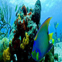 Matt Rush - Crunchbase Person Profile