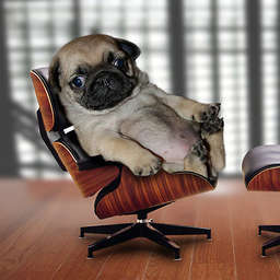 Lee Shaughnessy - Crunchbase Person Profile