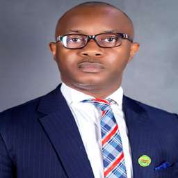 Emeka Iloelunachi - Managing Director and CEO @ Fast Credit ...