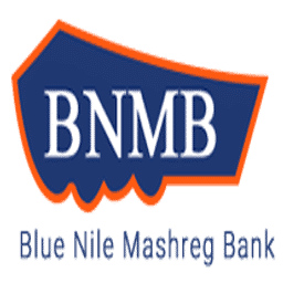 Blue Nile Mashreg Bank - Crunchbase Company Profile & Funding